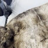 Olivia Austin Oliviaaustinxo Oliviaaustinxxx Nude OnlyFans Leaks