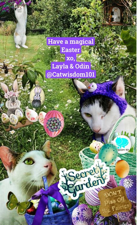 Magical Fun With Cats And Easter Cat Art Cat Wisdom 101