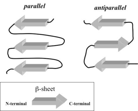 cell structure and function test 1 flashcards quizlet
