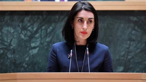 ევროპელი კოლეგების ვიზიტი მნიშვნელოვანია მაკა ბოჭორიშვილი