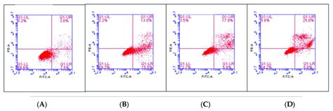 Flow Cytometric Analysis Of Early Apoptosis Late Apoptosis And