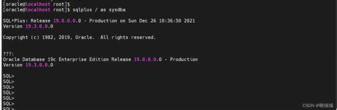 Linux操作系统下oracle 19c数据库的安装及常见问题的处理linux 安装19c Oracle 连接不上 Csdn博客
