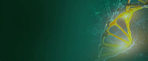 Hla Gene Editing Breakthrough Rheumagen