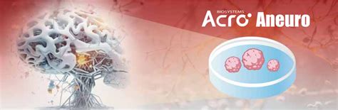 New Product Ipsc Derived Cerebral Organoid Differentiation Kits