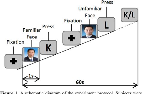 Figure 1 From Single Trial Eeg Classification Applied To A Face Recognition Experiment Using