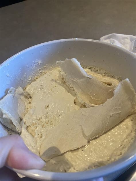 Oven Bread Proof Setting R Sourdough