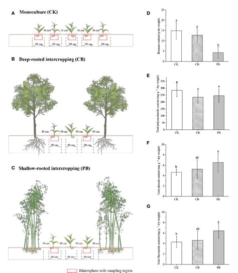 Figure 1 From Comparative Analyses Of Functional Traits Based On
