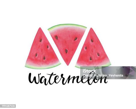 수박 슬라이스와 벡터 인쇄 비문 레터링 수박 휴일 인사말 카드 및 계절 여름 휴가 해변 파티 관광 및 여행의 초대를위한 디자인 0명에 대한 스톡 벡터 아트 및 기타 이미지