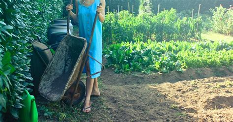 Transform Your Garden From Drab To Fab With These Steps Take A Walk In My Shoes