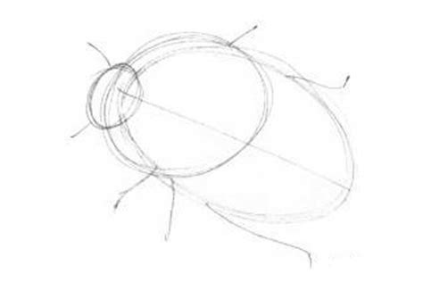 Bug Drawing Easy Cute And Step By Step