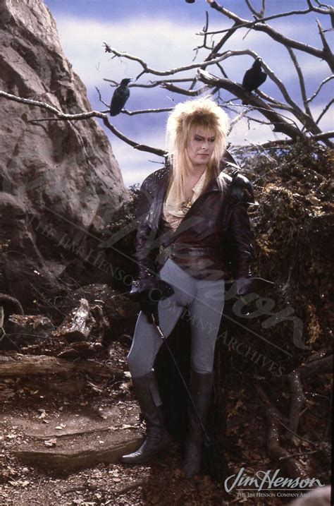 Labyrinth Nook Photo David Bowie Labyrinth Bowie Labyrinth