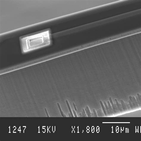 Sem Of A Probe Shaft With 32 Electrodes Download Scientific Diagram