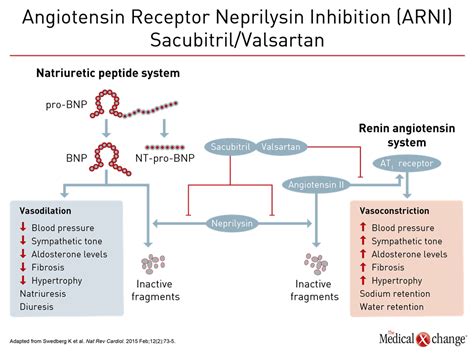 CCS Guidelines For The Management Of Heart Failure 2017 Comprehensive Update The Medical Xchange