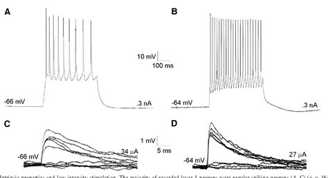 Figure 1 From Synaptic Properties Of Thalamic And Intracortical Inputs To Layer 4 Of The First