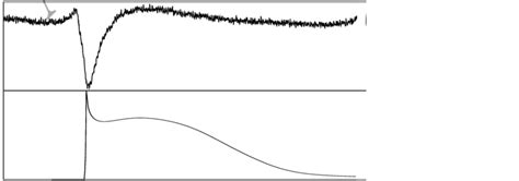 Schematic Illustration Of The Correlation Between The EFP Signal Download Scientific Diagram