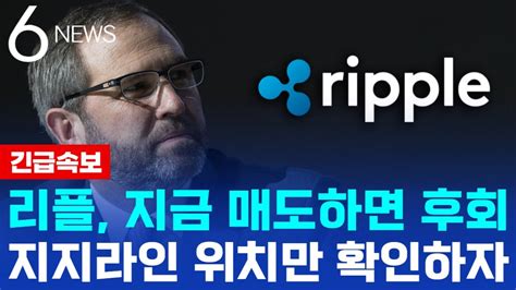 리플 절대 패닉셀 하지 마세요 Youtube
