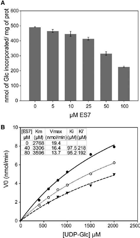 Concentration Dependent Inhibition Of Callose Synthase Activity By Es7