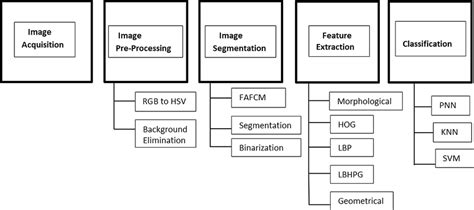Framework Of Proposed Leaf Species Identification System Download