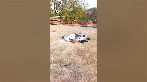 Rohan Das Video Sex Video Youtube