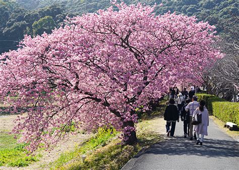 Hokkaido Weather By Month 2026 And 2027 Climate Best Time