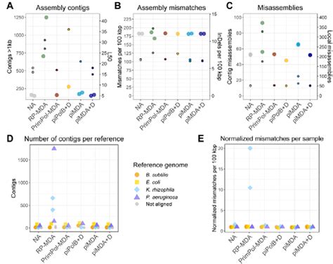 Assembly Of Amplified Metagenomes Metaspades V 3131 De
