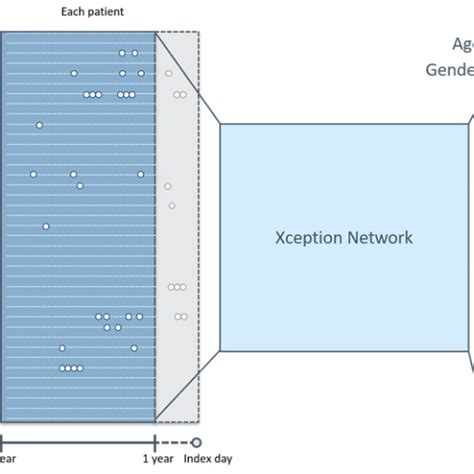 Visualization Of The Hidden Layer Of The Model Using T Stochastic Download Scientific Diagram
