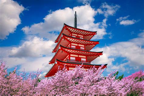 Darcha Padum Trek Tour Packages 8 Nights 9 Days