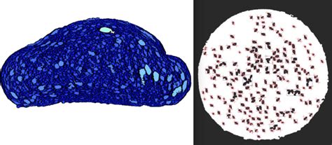 Crumb Analysis Baking Processes Bakerpedia