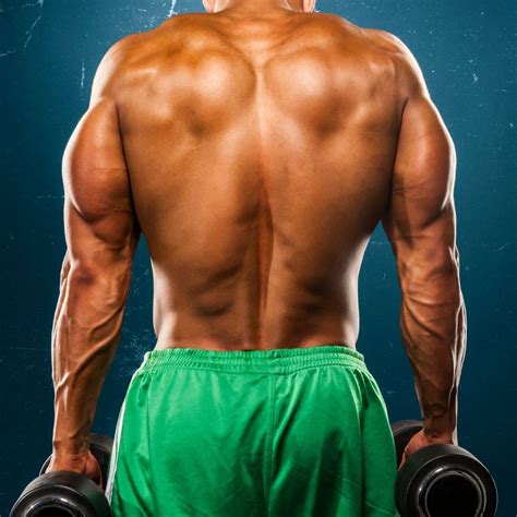 Blog Tagged Upper Back Exercises Set For Set
