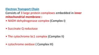 ETC AND ATP SYNTHESIS ELECTRON TRANSPORT CHAIN AND ATP SYNTHESIS Pptx