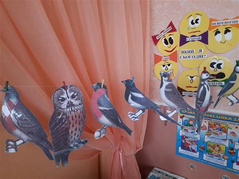 Ілюстрації на тему Зимуючі птахи