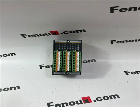 Fm211 Bachmann Analog Input Output Modules Factory China