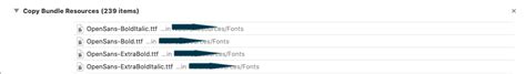 Ios Xcode Does Not Detect Custom Font Stack Overflow