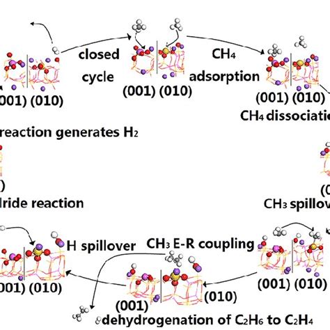 Schematic Diagram Of The Path For Activation And Conversion Of Ch4 By Download Scientific
