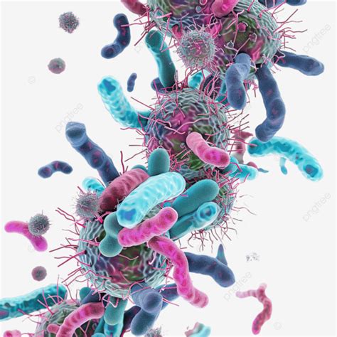 Pasteurella Multocida Bacterial Pathogenic Pathway Pathway Infographic Diagram Png