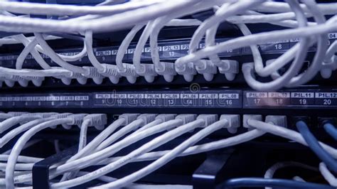 Cabos Da Rede Conectados Ao Interruptor Cubo Da Rede Imagem De Stock Imagem De Azul