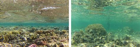 Figure 2 From Wave Transformation Over A Barrier Reef Semantic Scholar