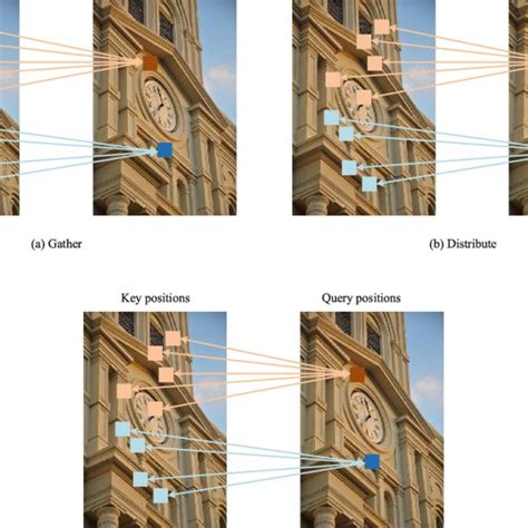 Illustration Of Bidirectional Information Paths They Gather The