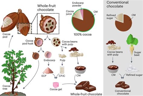 Chocolate That Harnesses The Full Potential Of The Cocoa Fruit
