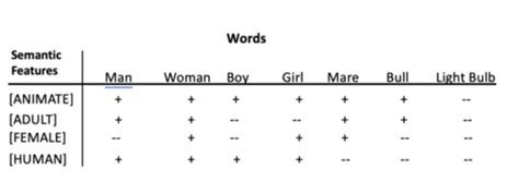 Semantics Sense Flashcards Quizlet