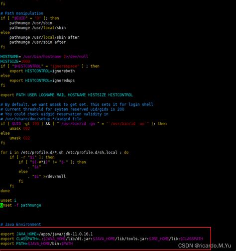 Linux Centos7 安装jdk11jdk11下载压缩包 Csdn博客