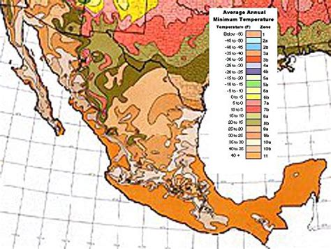 Mexico Plant Hardiness Zone A Gardeners Forum