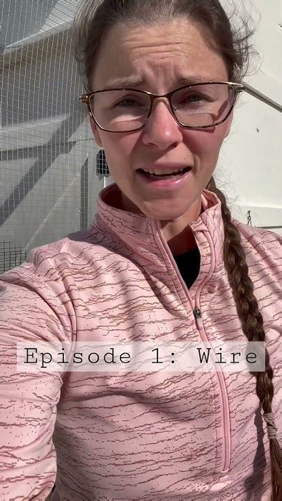 Predator Proofing Episode 1 Wire Youtube