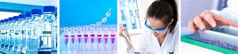 Antibody Library Antibody Design Labs