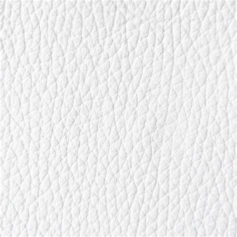 winter cordova ecodomo