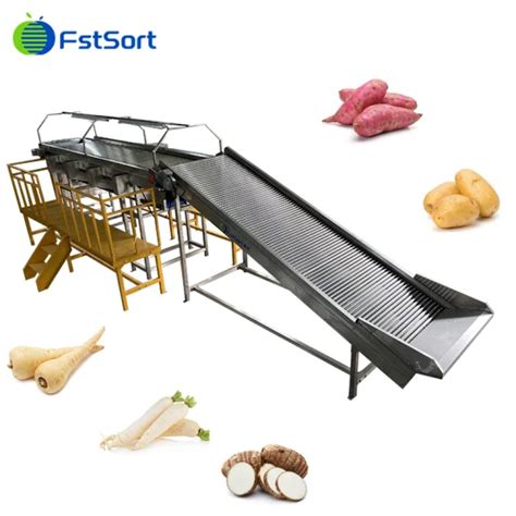 Fstsort Parsnips Sizer Root Vegetable Processing Equipment Turnip Washing Sorting Grading