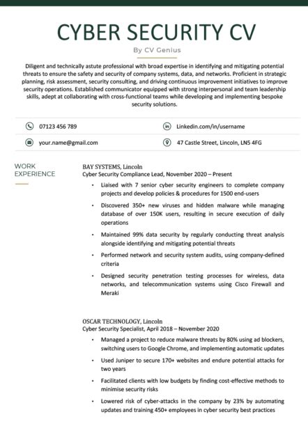 Computer Science CV Example Free Template How To Write Computer Science CV Example Free Template How To Write