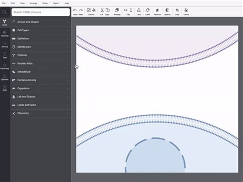 Gas Chromatography Mass Spectrometry Gcms Schematic Biorender