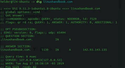 Dig Command Examples In Linux