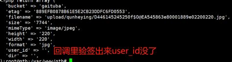 老铁回调来自定义的user id没了是什么原因啊？ · issue 46 · iidestiny laravel filesystem